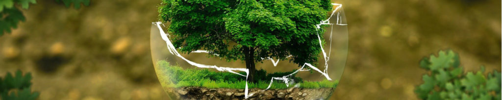 What Makes Biobased Products Successful? | Biobased Chemicals
